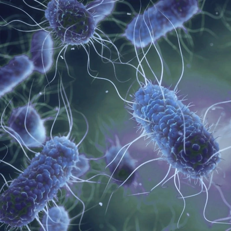 Protecting Children from Escherichia coli Daily | Milerd