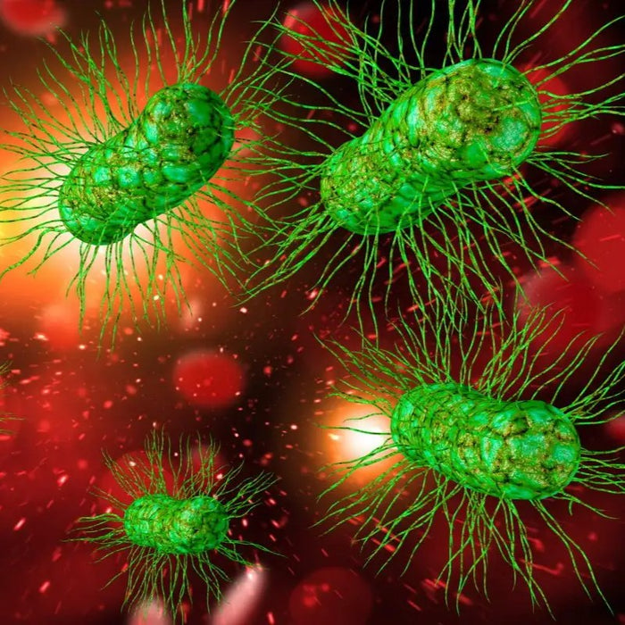 How to Clean Foods from E. coli and Dangerous Bacteria | Milerd