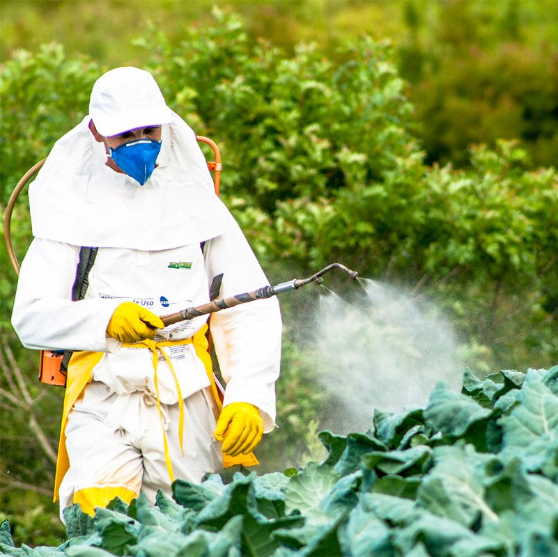 Impact of Pesticides on Health: Safeguard Your Family