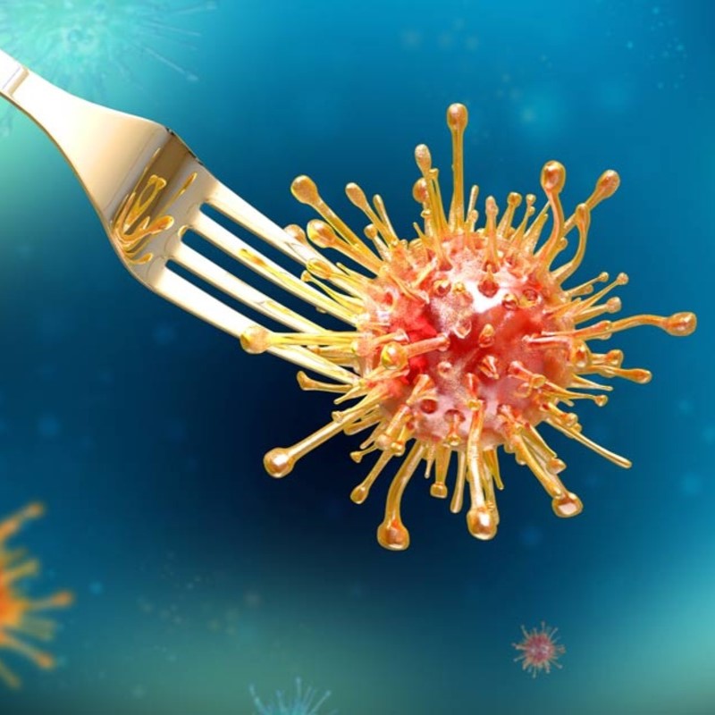 How to Protect Yourself from Harmful Bacteria at Home | Milerd